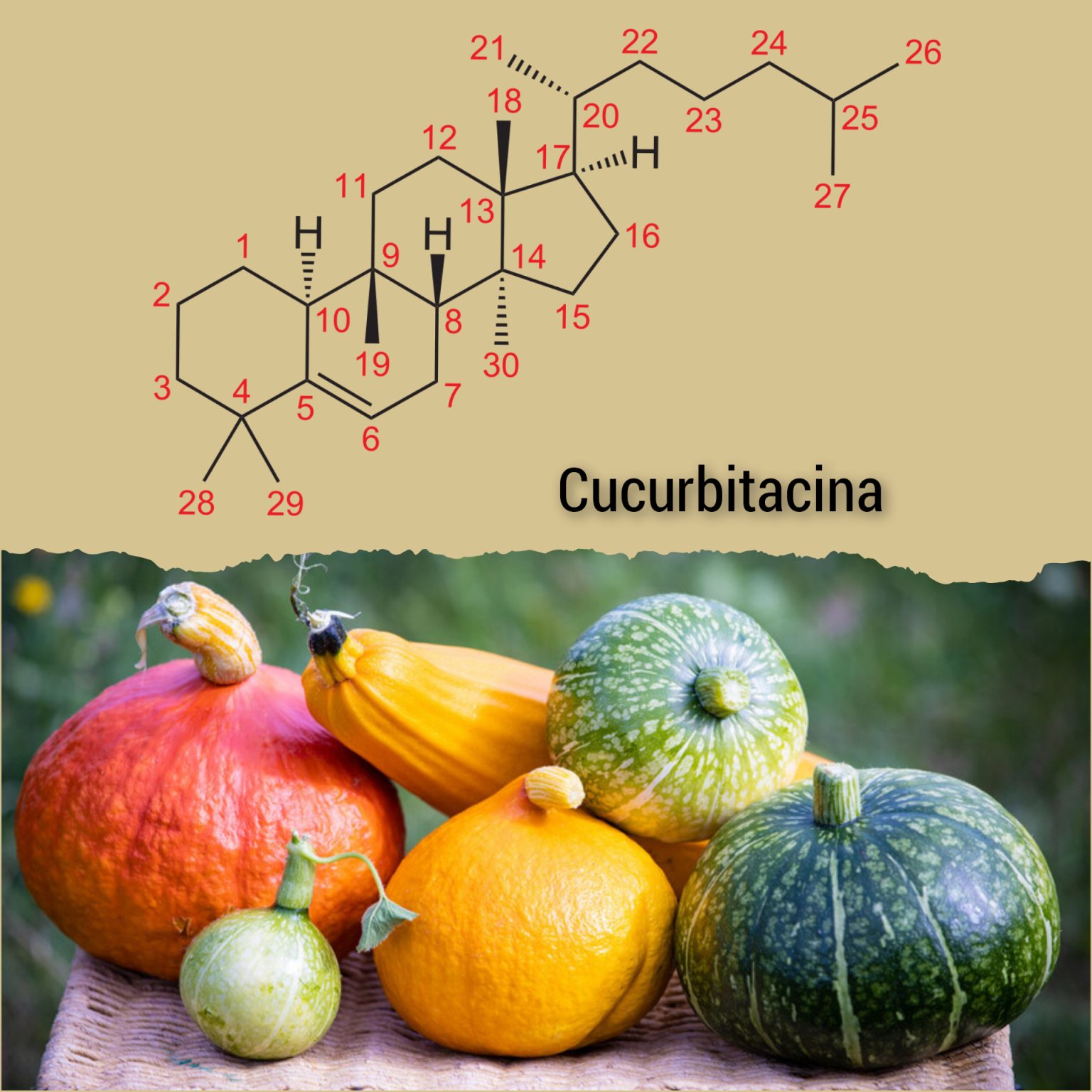 Toxinas en Frutas y Vegetales - Química en casa.com