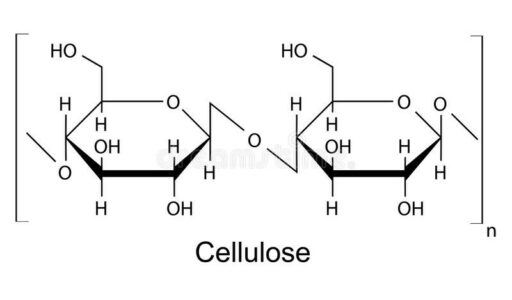 celulosa - Química en casa.com